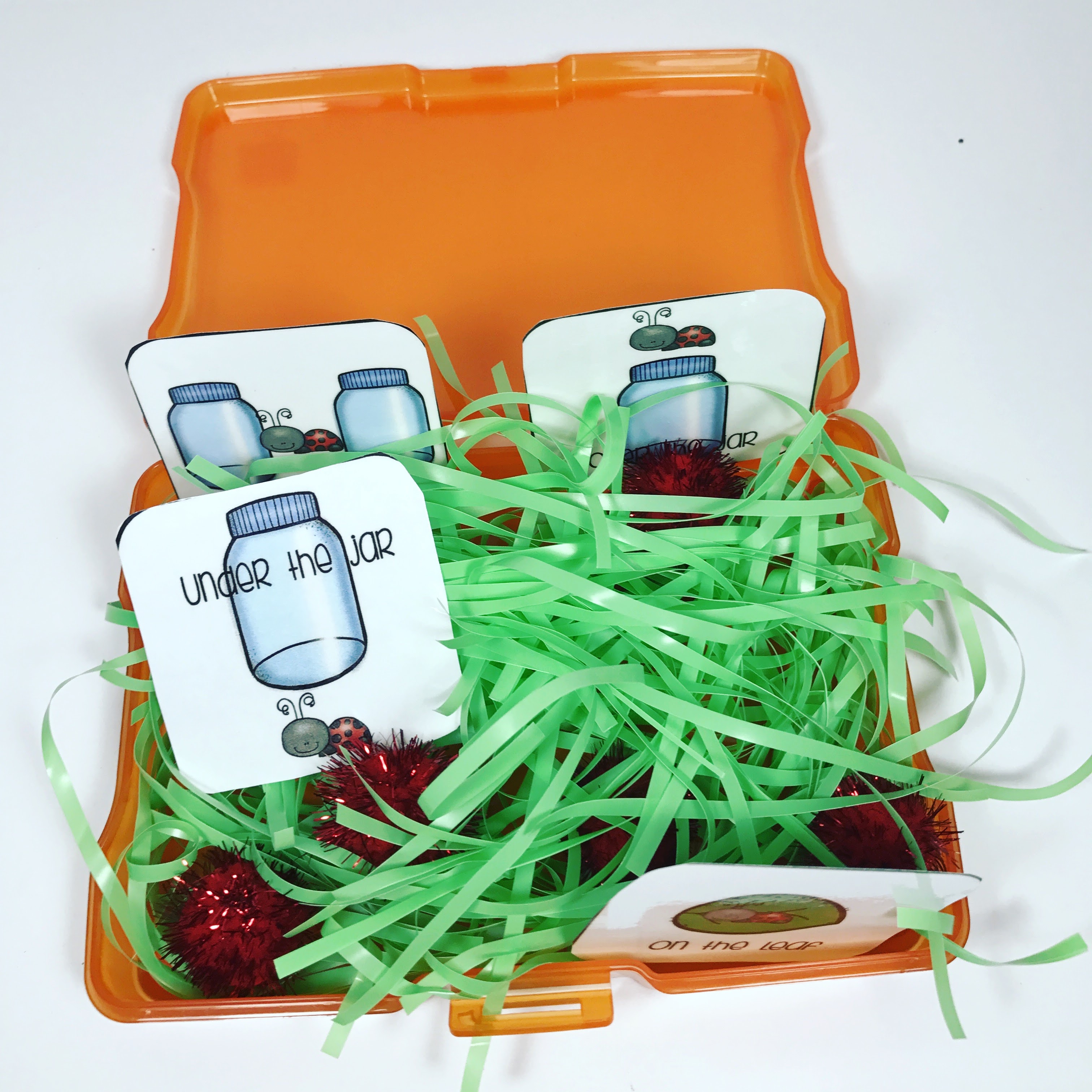 Speech Therapy Theme: Ladybugs